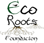 CSR Projects | CSR world | Eco Roots Foundation, Delhi